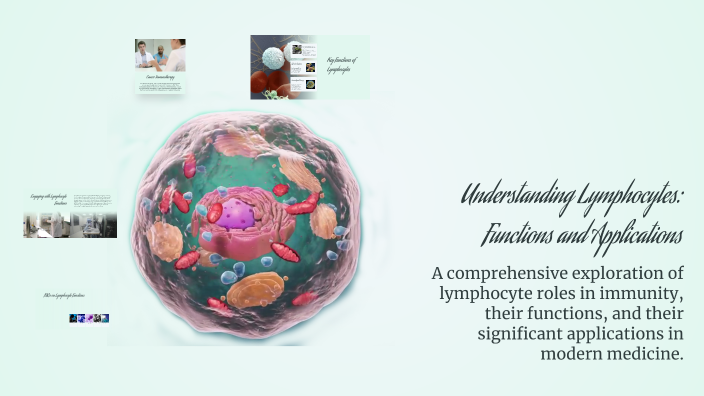 Understanding Lymphocytes: Functions and Applications by ...