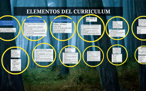 ELEMENTOS DEL CURRICULUM by Audelia Quiroa on Prezi