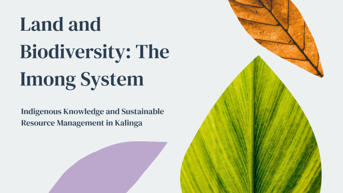 Sustainable Practices in the Imong System by Hekarro Accello on Prezi