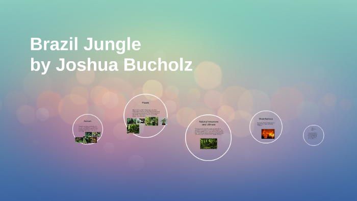 Ecosystem Research: Brazil by Joshua Bucholz on Prezi