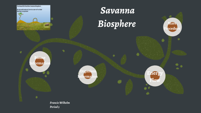 Savanna Biosphere by Francie Wilhelm on Prezi