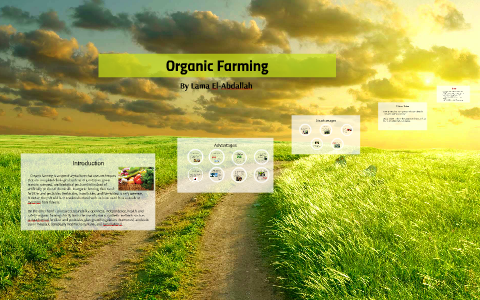 Organic Farming: Advantages and Disadvantages by Lama El