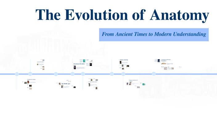 The Evolution of Anatomy by Javier Ramos on Prezi