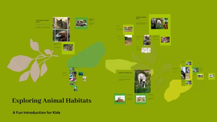 Exploring Animal Habitats by HAJAR MACH on Prezi