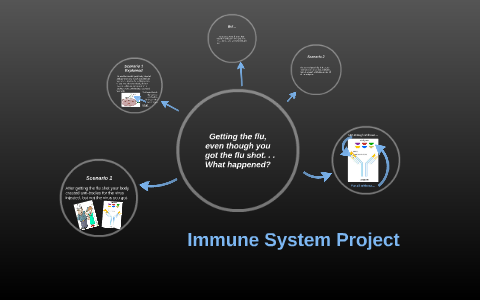 Immune System Project by Riley Y on Prezi