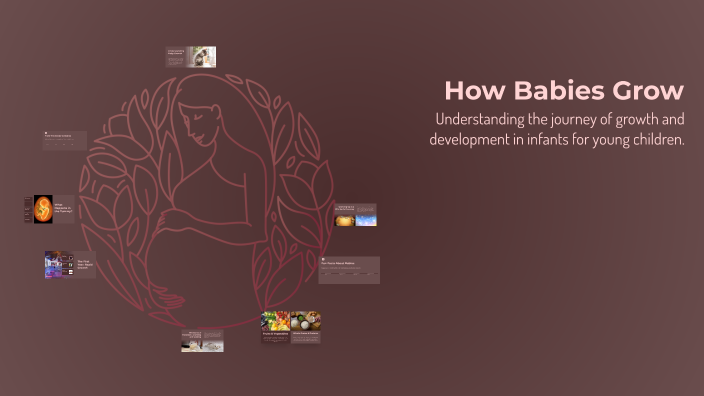 How Babies Grow by Hannah Twinney on Prezi