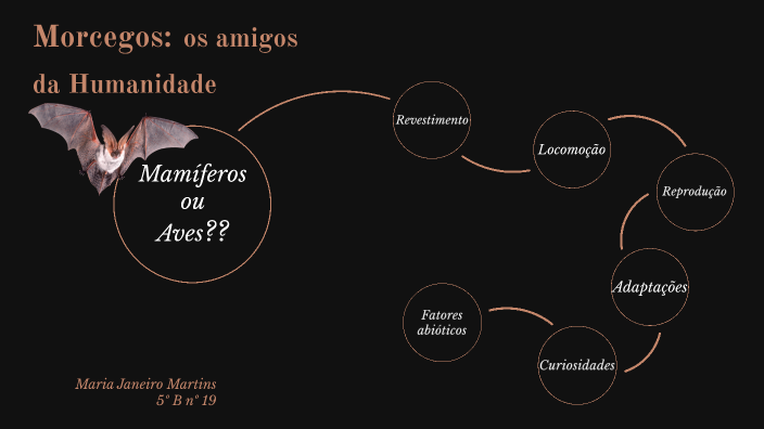 Trabalho Maria (Morcegos) by Paula Janeiro on Prezi