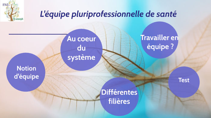 L'équipe pluriprofessionnelle de santé by Muriel Levannier on Prezi