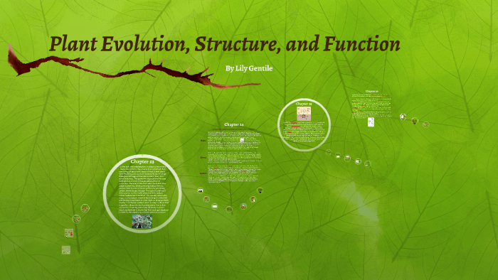 Plant Evolution, Structure, and Function by Lily Gentile on Prezi