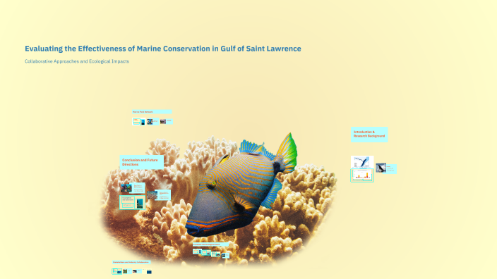 Evaluating the Effectiveness of Marine Conservation in Gulf of Saint ...