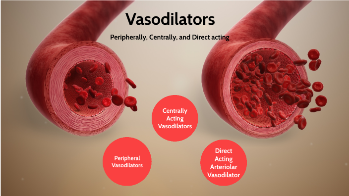Vasodilators by Sydney Smith on Prezi