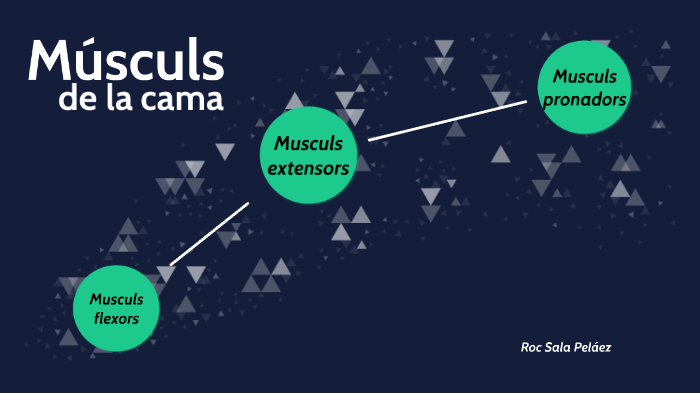 Musculs de la cama by Roc Sala on Prezi