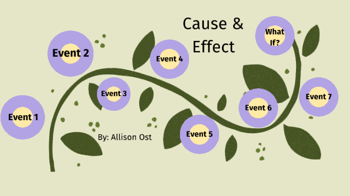 Cause and Effect Project by Allison Ost