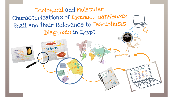 Ecological and Molecular Characterizations of Lymnaea natalensis Snail and their Relevance to ...