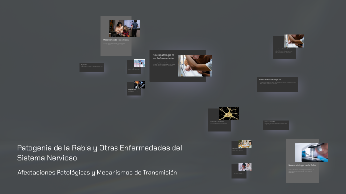 Patogenia de la Rabia y Otras Enfermedades del Sistema Nervioso by ...