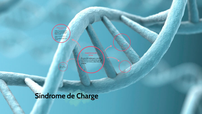 Sindrome de Charge by Stefania Díaz on Prezi