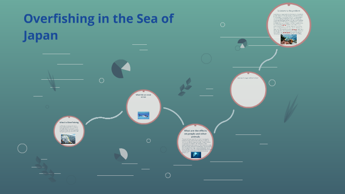 Overfishing in the Sea of Japan by Holden Robinson on Prezi