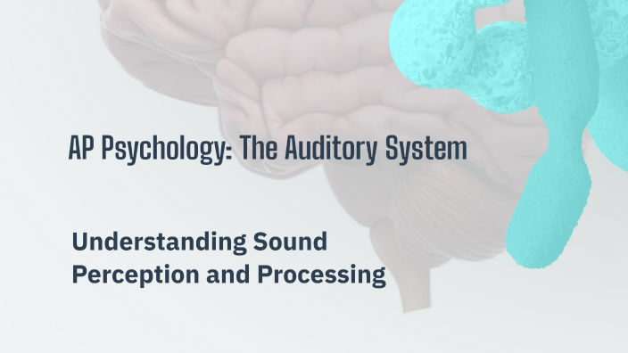 AP Psychology: Exploring the Auditory System by Dhairya Pathak on Prezi