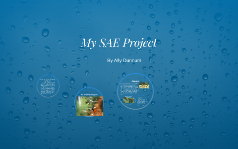 My SAE Project by Ally Dunnum on Prezi