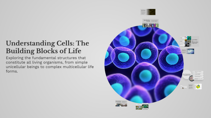 Understanding Cells: The Building Blocks of Life by M. Lourdes López ...