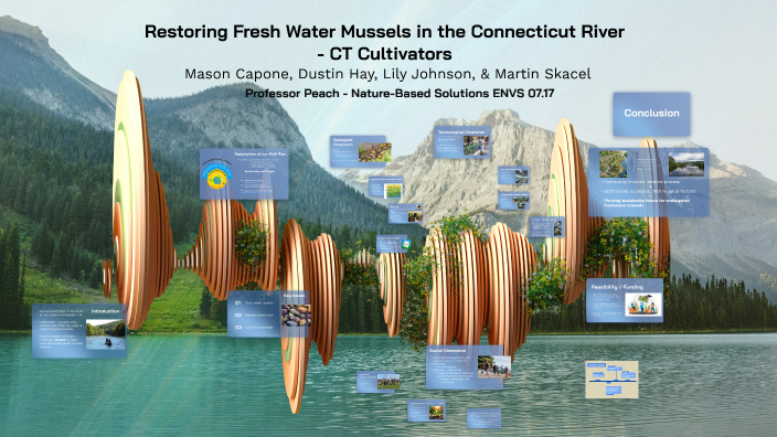 Restoring Fresh Water Mussels in the Connecticut River by Mason Capone ...