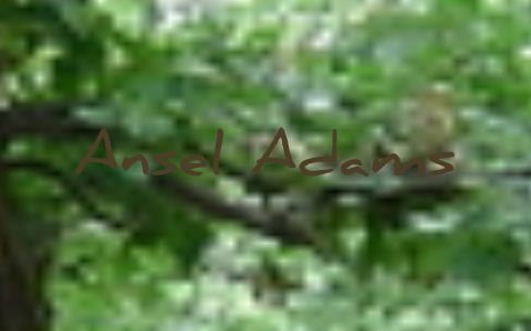 Ansel Adams by jake shanley on Prezi