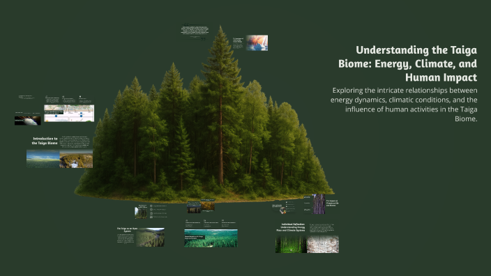 Understanding the Taiga Biome: Energy, Climate, and Human Impact by ...
