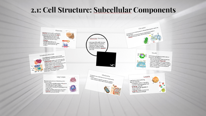2.1: Subcellular Components by Kimberly Christian on Prezi