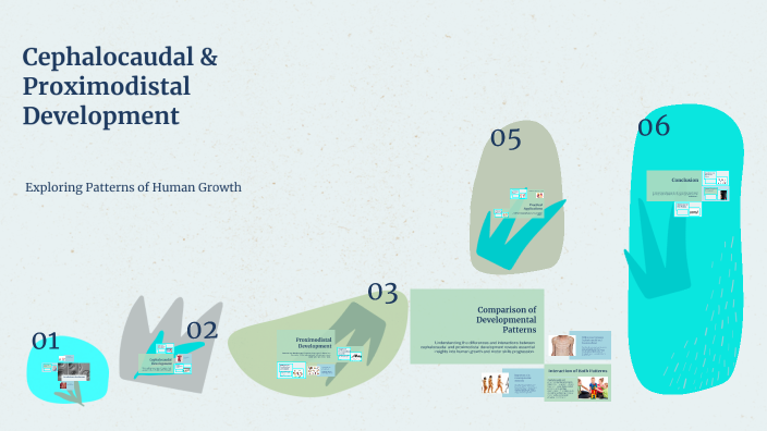 Cephalocaudal & Proximodistal Development by Jada Stallings _ Student ...