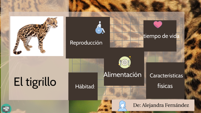 El tigrillo-Alejandra F by CuartoB Primaria on Prezi
