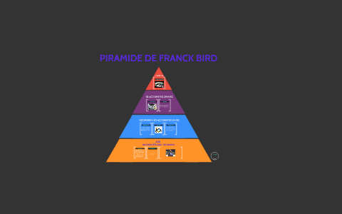 PIRAMIDE DE INCIDENTES O FRANCK BIRD by francisco esteban Grisales Yaya ...