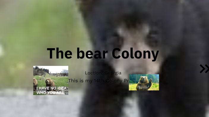 14th Colony Project by Adam Acosta Anaya on Prezi