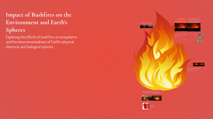 Impact of Bushfires on the Environment and Earth's Spheres by Hugo ...
