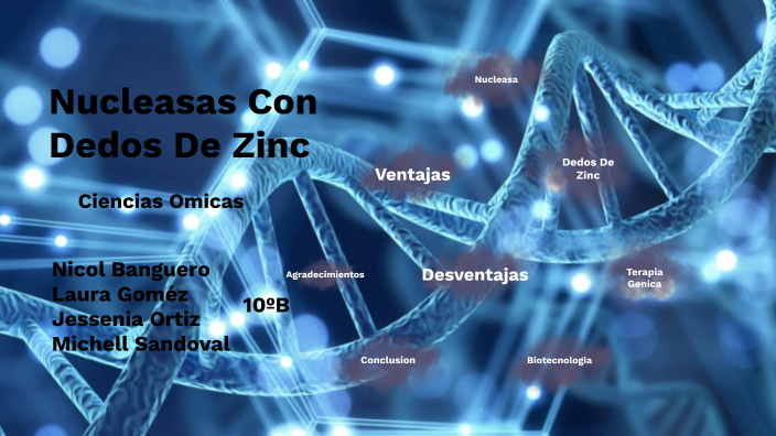 Nucleasas Con Dedos De Zinc by Nicol Dayan Banguero Leal on Prezi