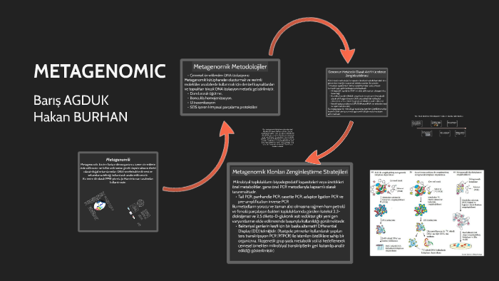 METAGENOMIK by hakan burhan on Prezi