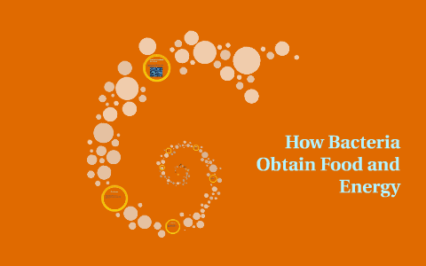 How Bacteria Obtain Food and Energy by on Prezi