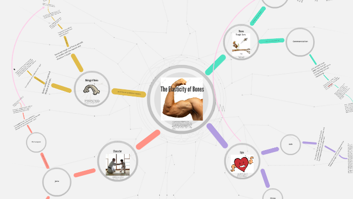 The Elasticity of Bones by Daisy Chen on Prezi