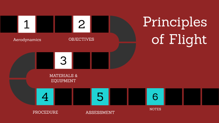 Principles of Flight by Larah Coyoca on Prezi