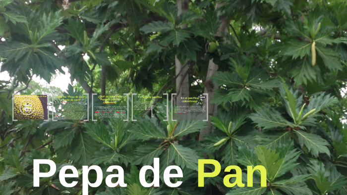Pepa de Pan by george muñoz