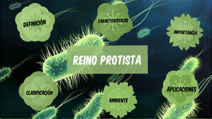 PROTISTAS by Adriana Diaz Toscano on Prezi