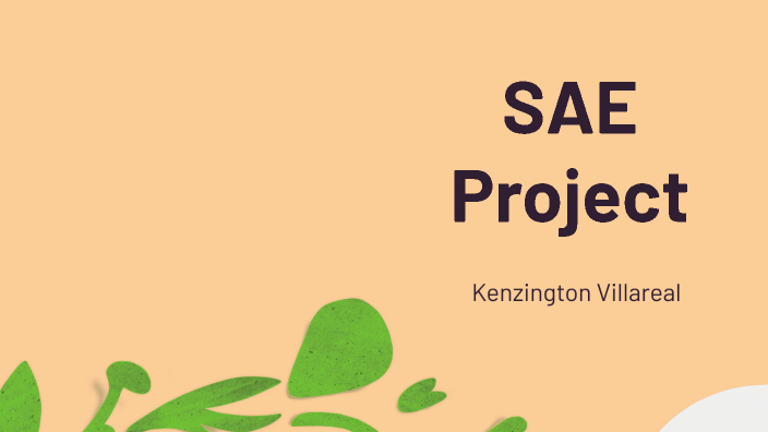 My SAE Project by 25K Villareal on Prezi