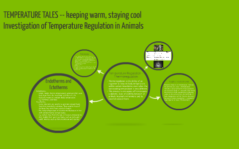 TEMPERATURE TALES -- by Georgia Treasure on Prezi