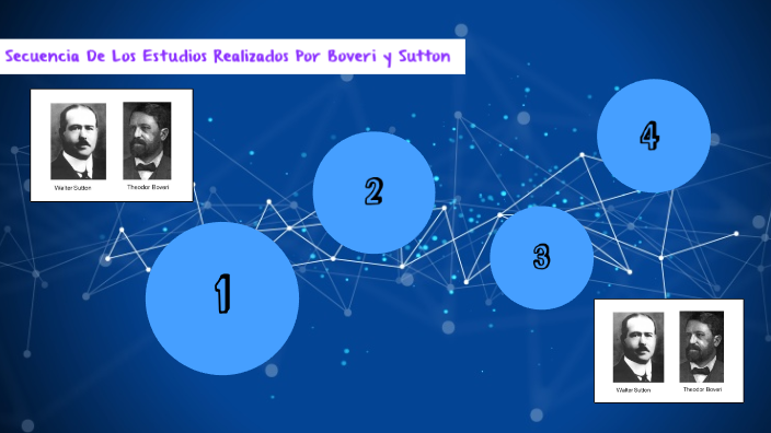 Secuencia de los estudios de Boveri y Sutton cuyos estudios está ...