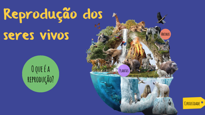 Reprodução dos seres vivos by Mafalda Machado on Prezi