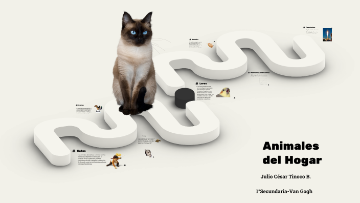 Animales del Hogar by Julio Cesar TINOCO BASILIO on Prezi