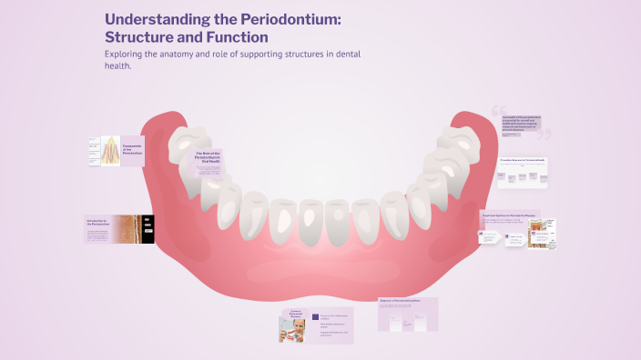 Understanding the Periodontium: Structure and Function by Wen Dy on Prezi