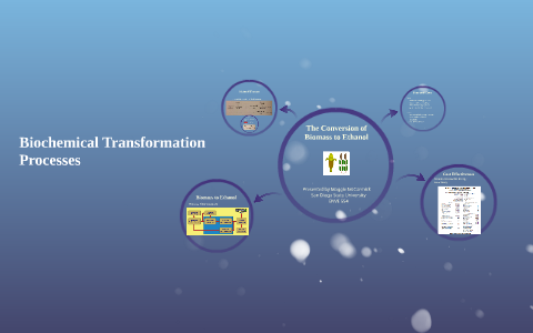 Biochemical Transformation Processes by on Prezi