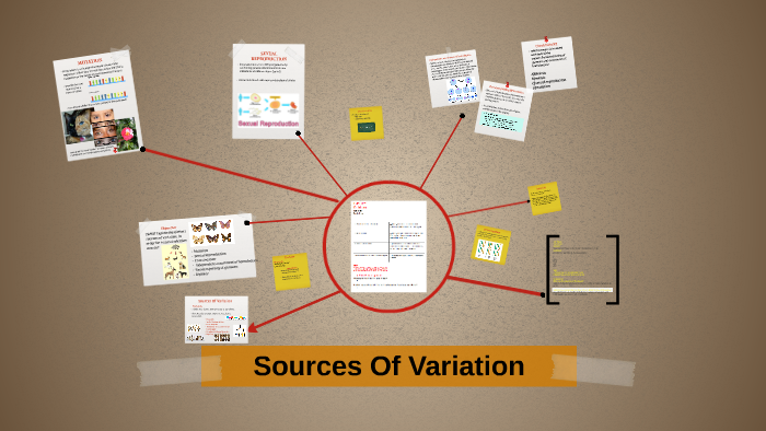 Sources Of Variation by Olga Gallardo on Prezi