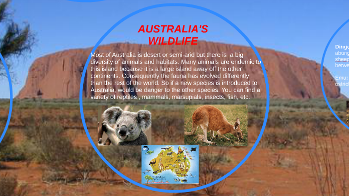 AUSTRALIA'S WILDLIFE by Alejandro Algora Tussy on Prezi