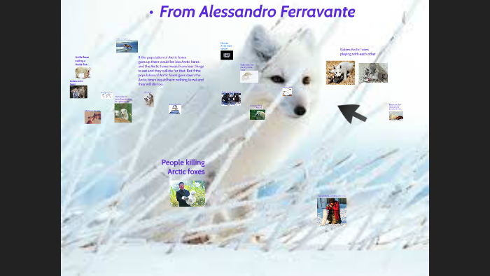 From Alessandro Ferravante by Brian Teinert on Prezi